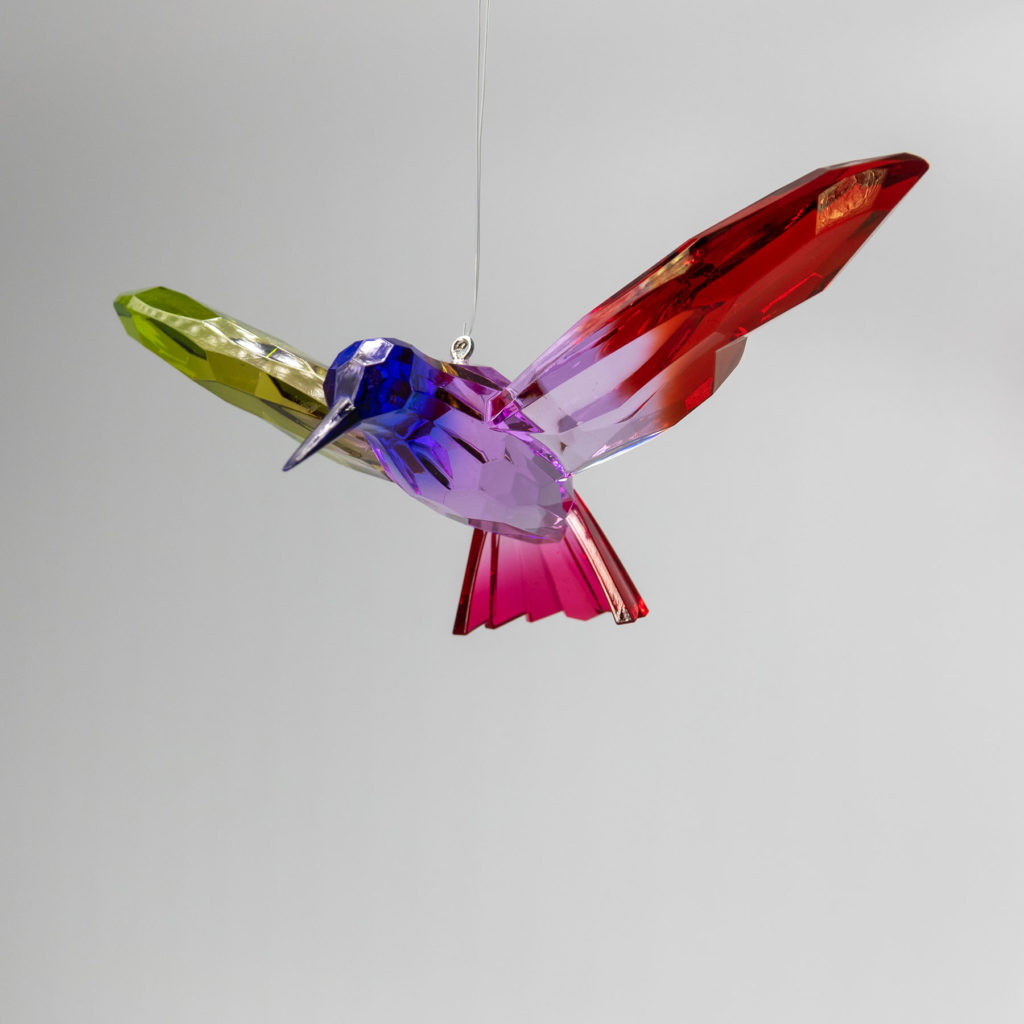 Rainbow Humming Bird | Rome Inspirations