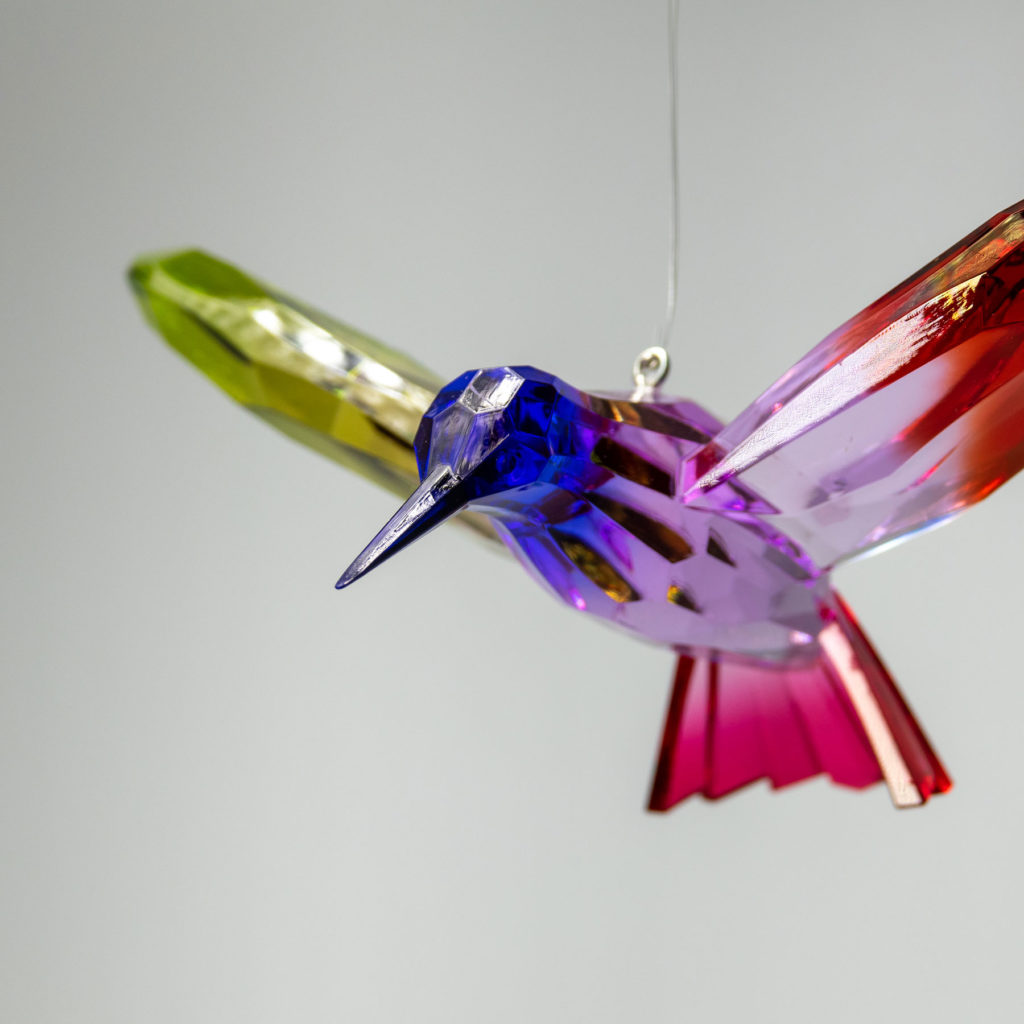 Rainbow Humming Bird | Rome Inspirations
