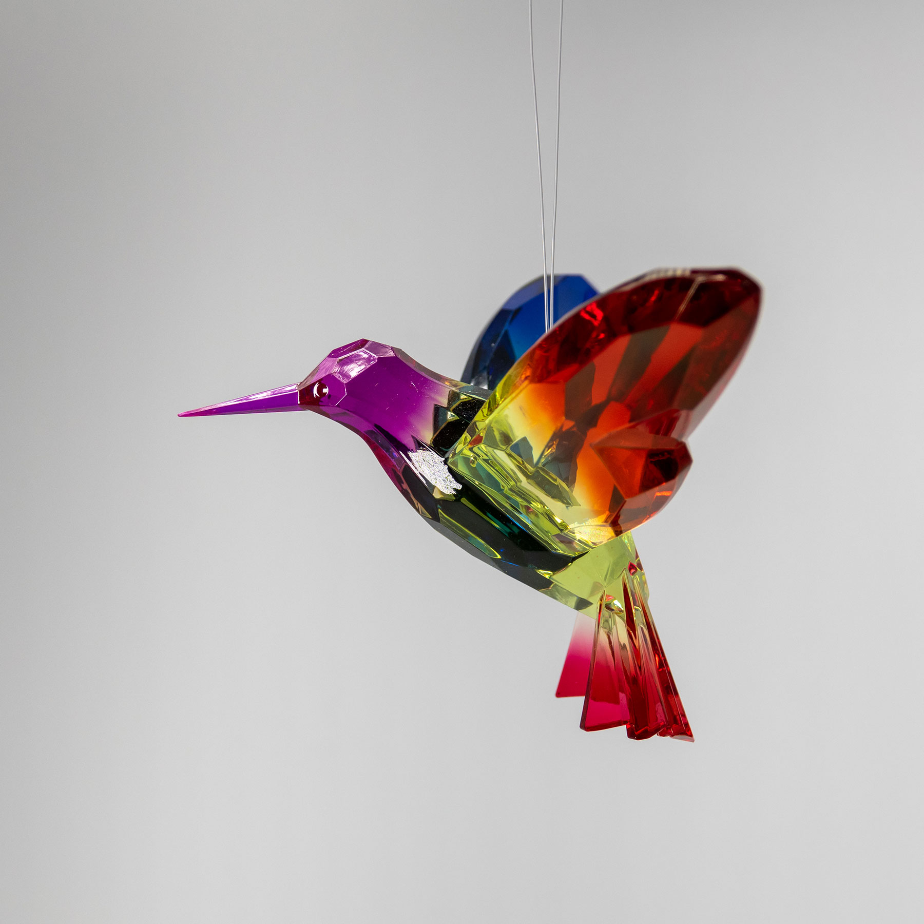 Rainbow Humming Bird | Rome Inspirations