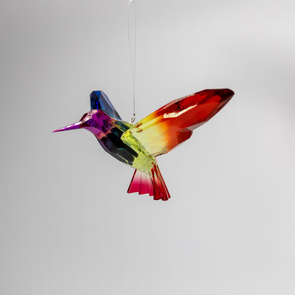 Rainbow Humming Bird | Rome Inspirations