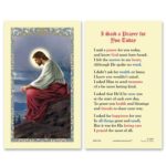 Christ Overlooking Jerusalem Laminated Holy Card | Rome Inspirations